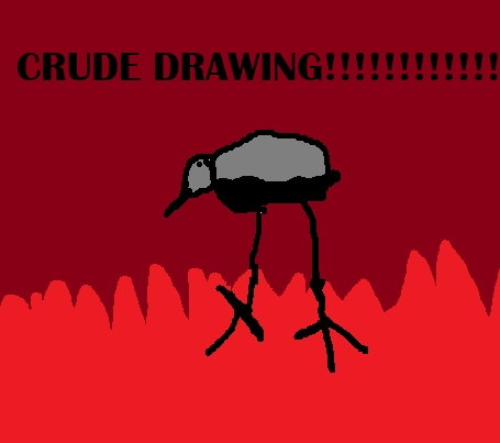 CRUDE DRAWING!!!!!!!!!!!!!!!!!! | Fandom