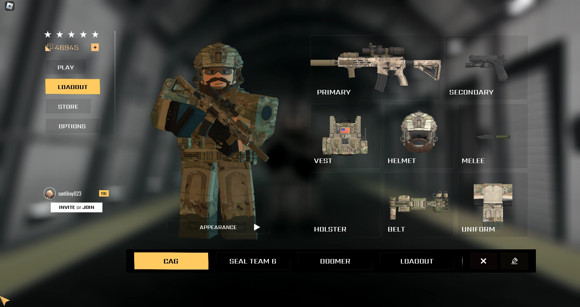 My CAG Loadout | Fandom