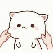 Cat | Fandom