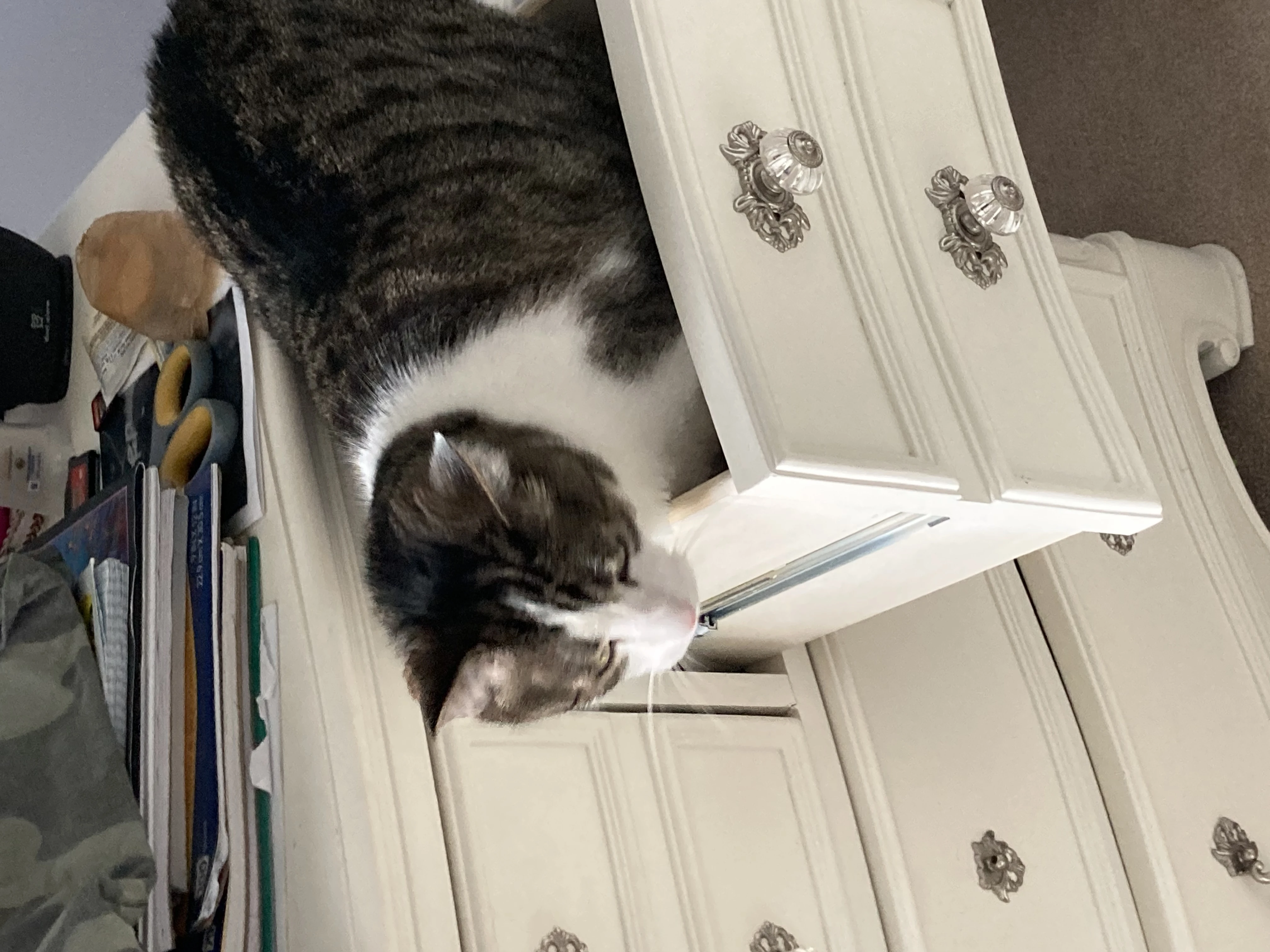 why he in the drawer | Fandom