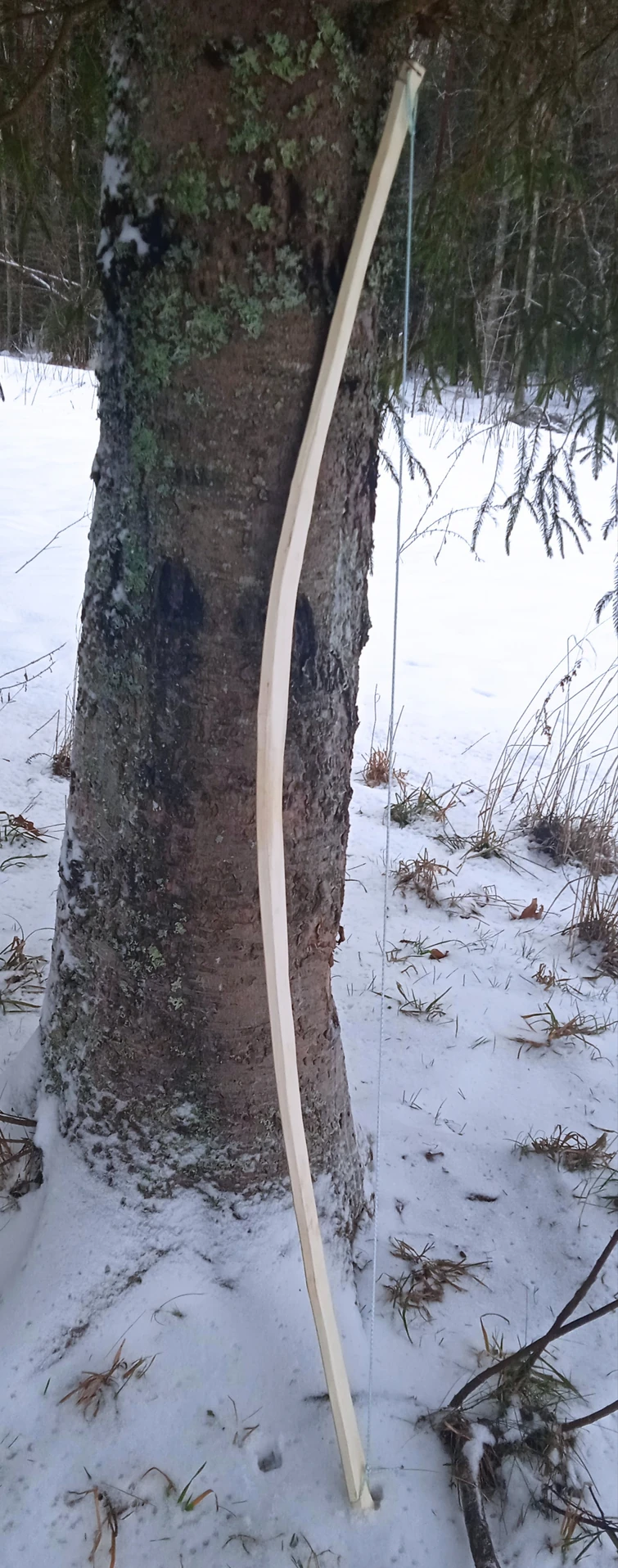 Another weaponized stick | Fandom