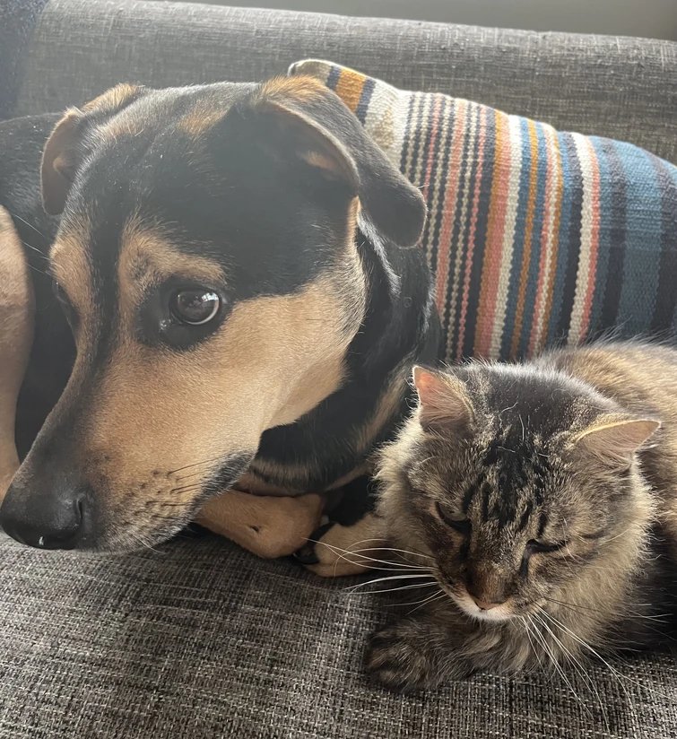 my skrumdiddlyumptious bumpkins 🥺🥺 | Fandom