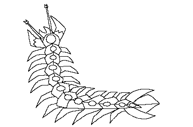 c e n t i p e d e | Fandom