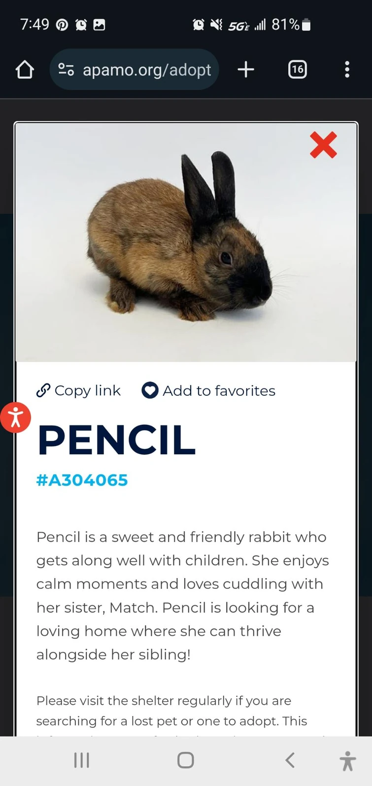 Match and pencil real?! | Fandom