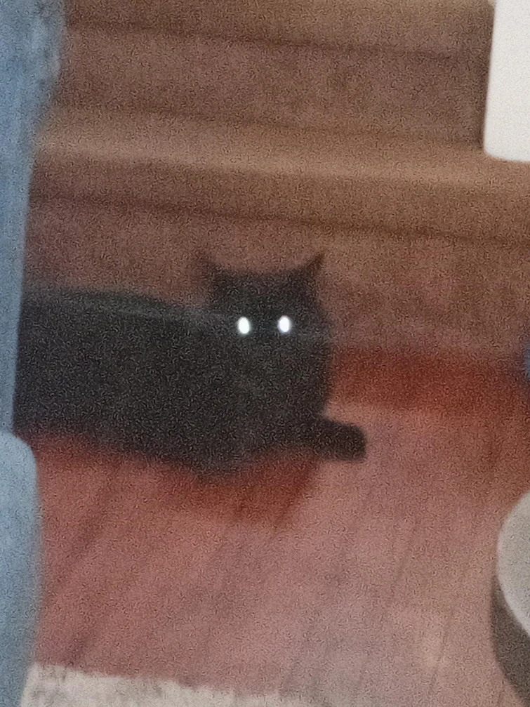 Gijinka kaijuclysm mothra | Fandom