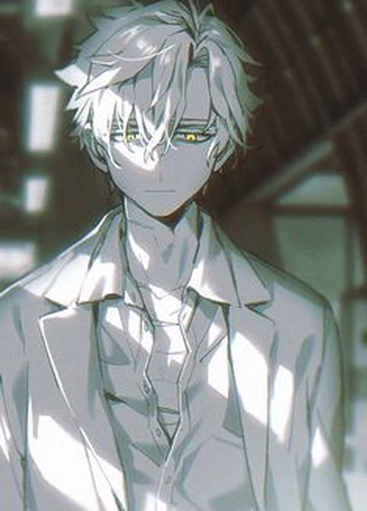 One Piece Character Sheet | Fandom