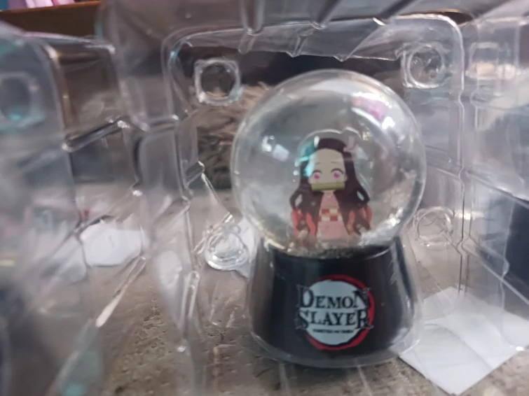 My Trio and Nezuko mini snow globes | Fandom