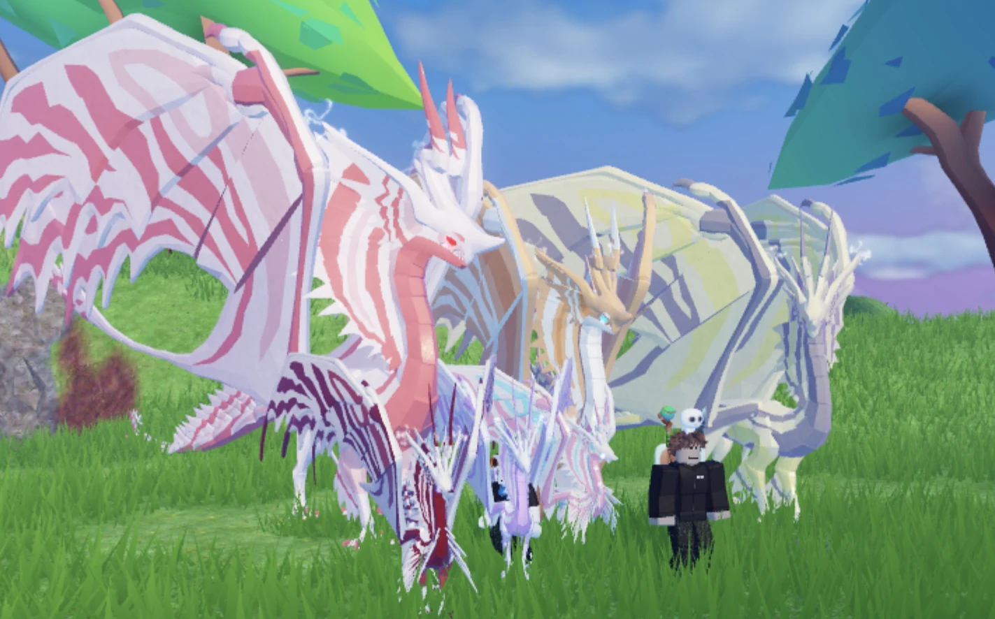 Veid Showcase! | Fandom