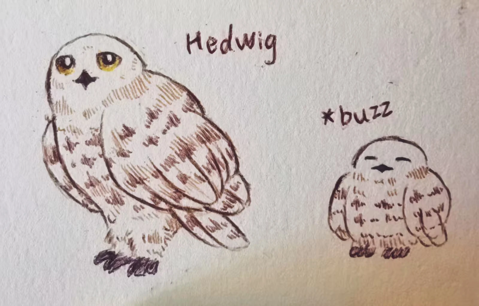 Hedwig🦉 | Fandom