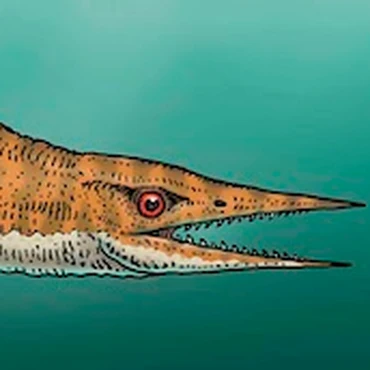 Discuss Everything About Dinopedia | Fandom