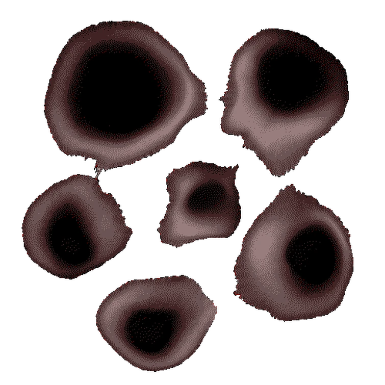 Concept Entity:XE-42 | Fandom