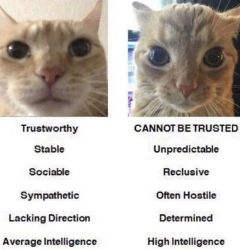 which one am i | Fandom