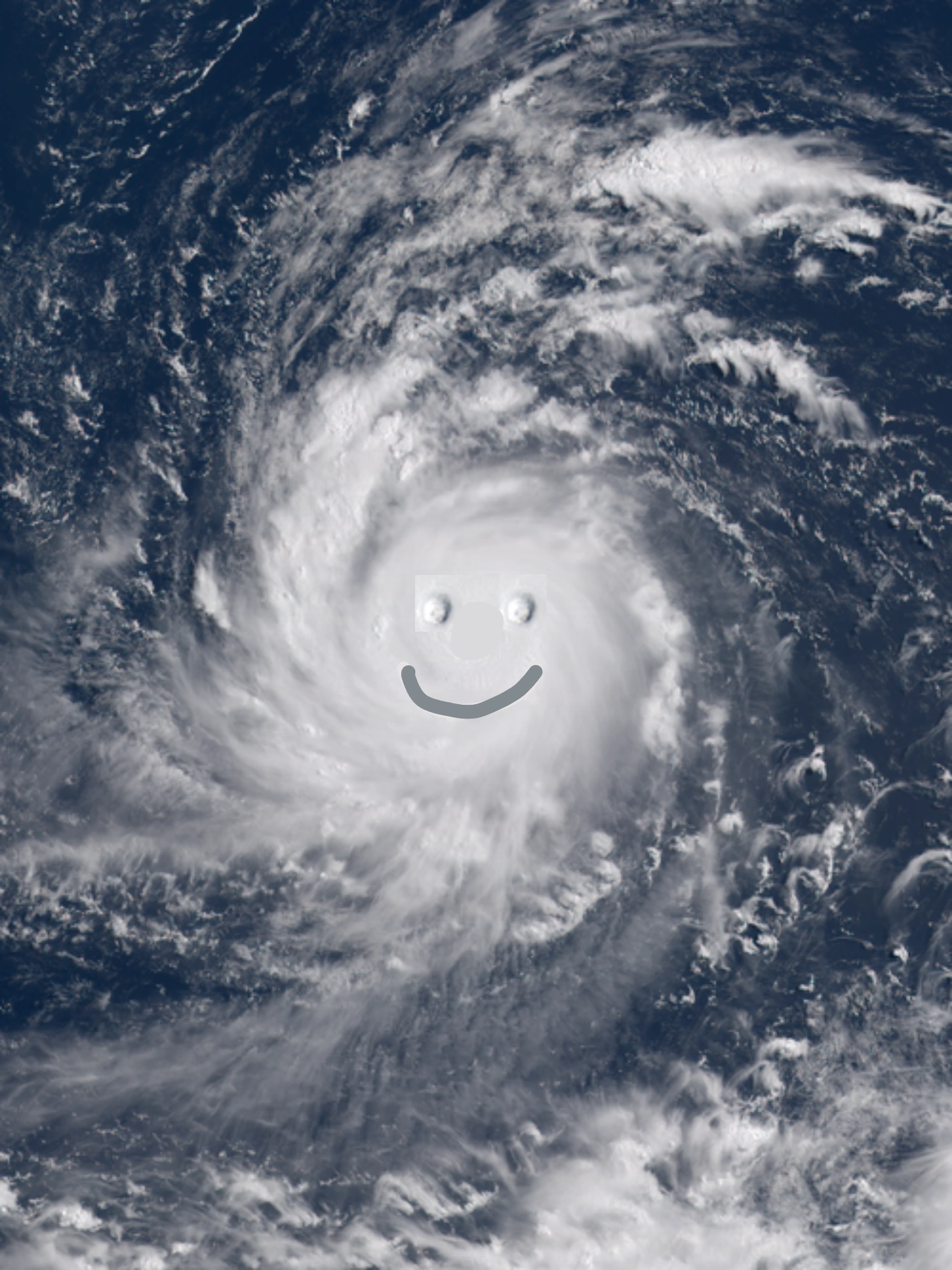 What do you think if hurricanes had faces? | Fandom