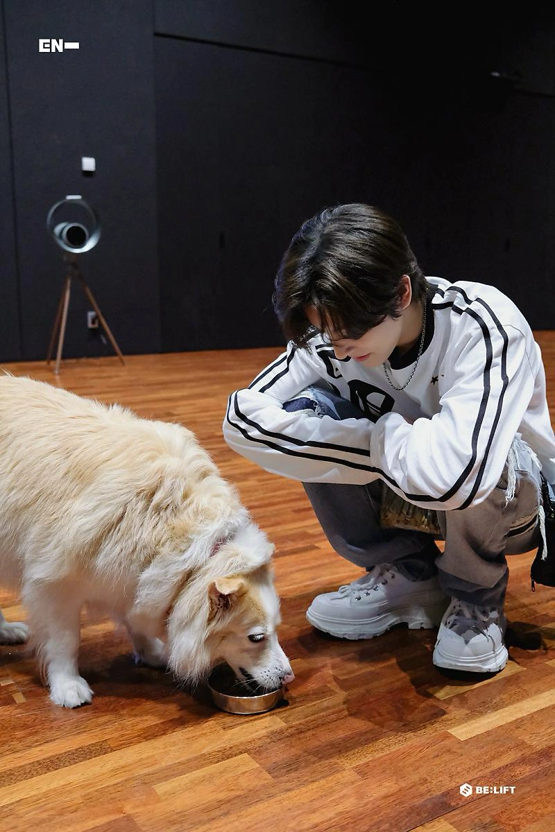 Your daily Jakey #969 | Fandom