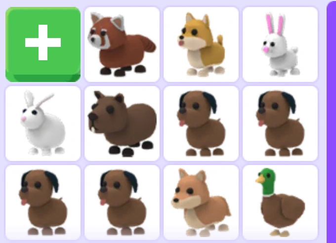 Pets I’m trading Say offers and ur username and what pet ur offering ...