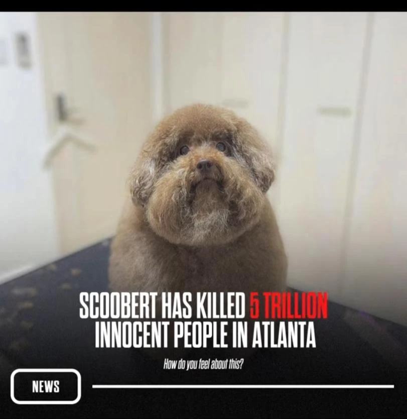 Scoobert no | Fandom