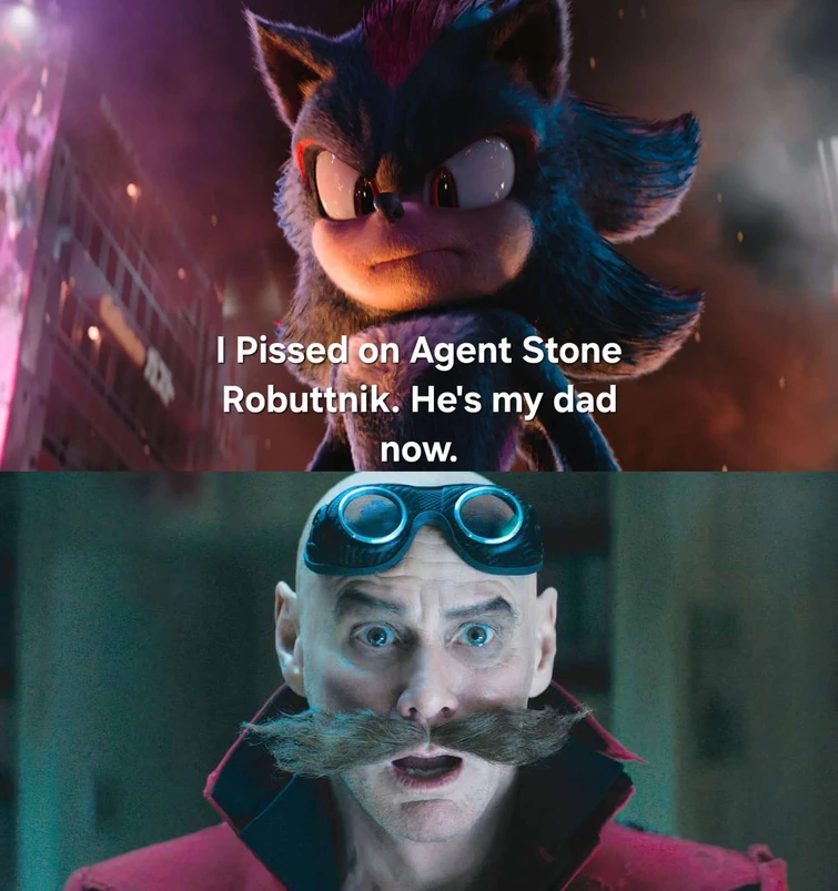 Another Sonic movie 3 Joke | Fandom