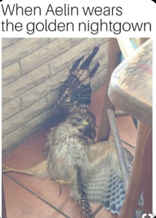 Rowan Bird Memes, As Promised | Fandom