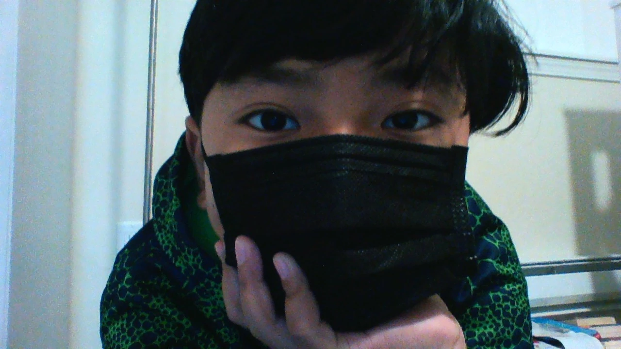 Face w/face mask | Fandom