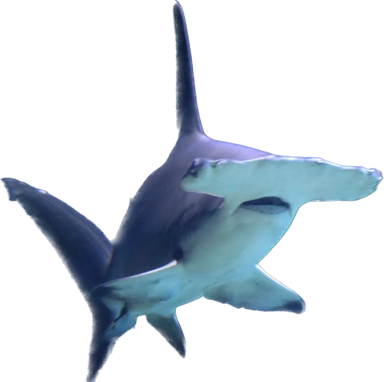 Discuss Everything About Ruby Gillman Wiki | Fandom