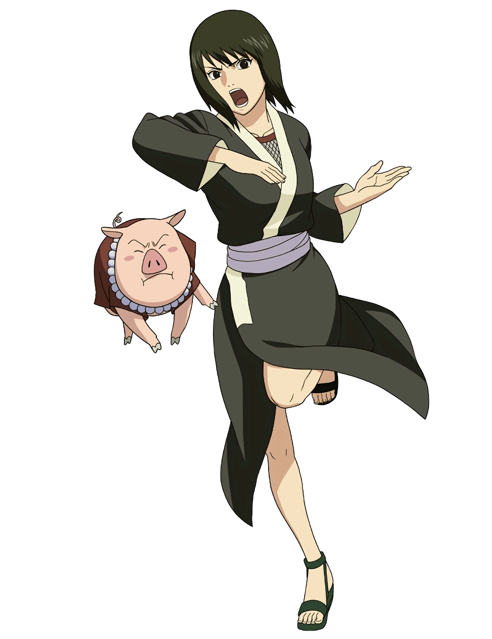 Happy Birthday, Shizune! | Fandom