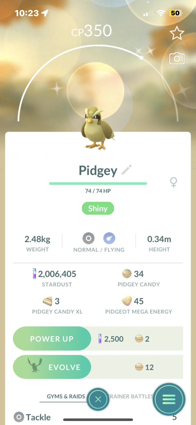 Finally! Shiny Pidgey! | Fandom