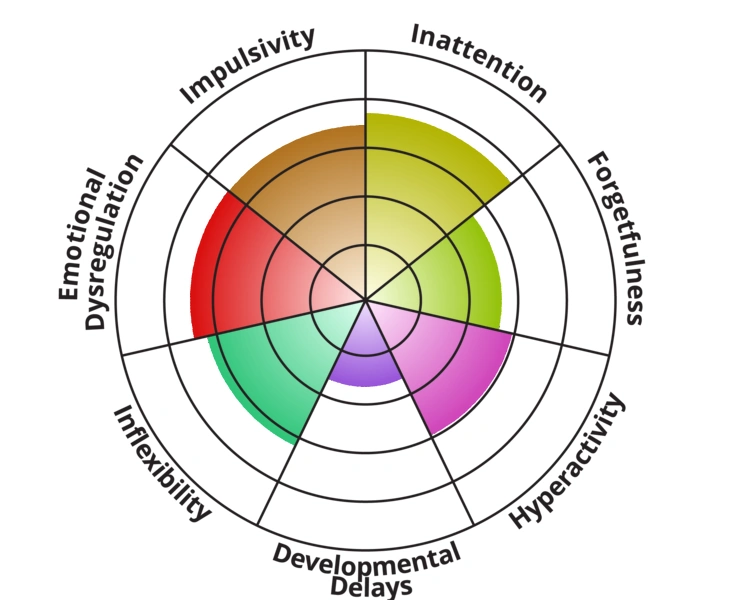 So I decided to take an ADHD Spectrum Test | Fandom