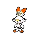 scorbunny | Fandom