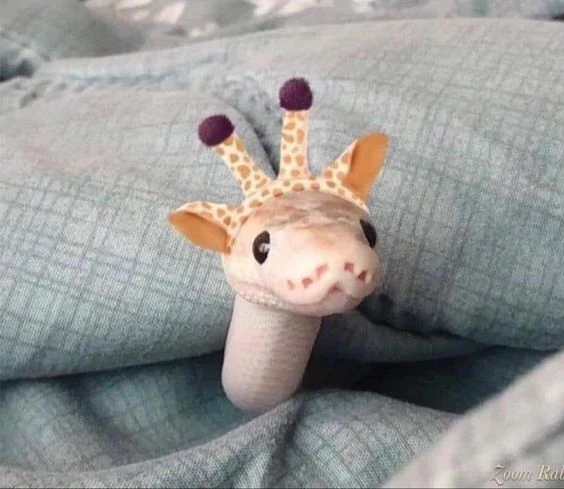 SNAKEEE | Fandom