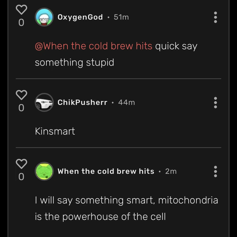 Cold brew, you fool, you buffoon, you stupid animal, I caught you ...