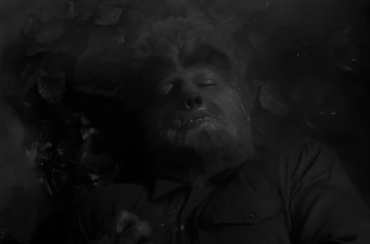 Discuss Everything About The Dead Meat Wiki | Fandom