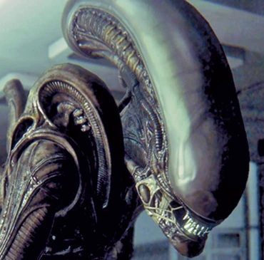 Which Xenomorph look do you prefer? | Fandom