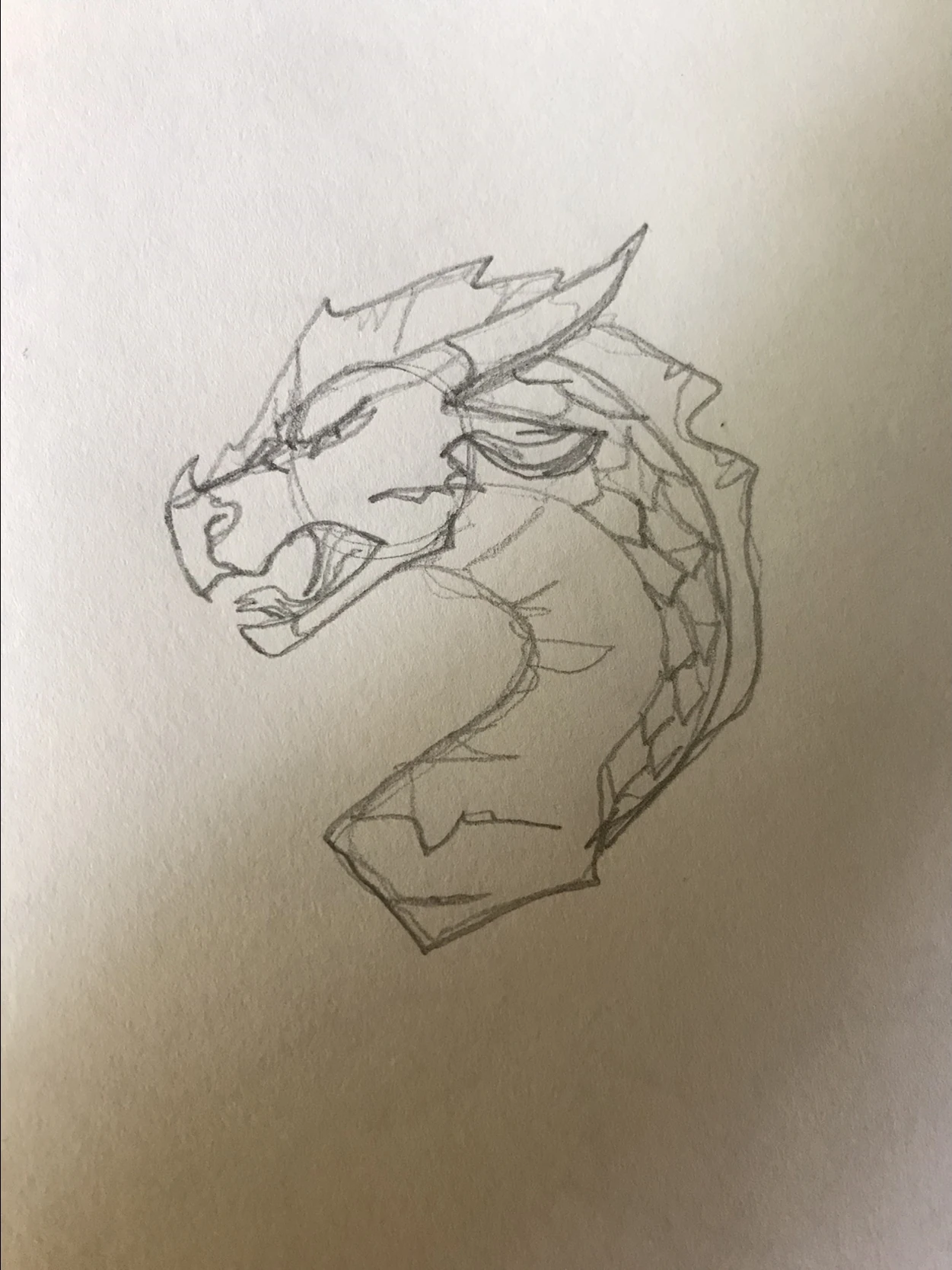 Quick uncolored traditional headshot sketches of dragons in one line ...