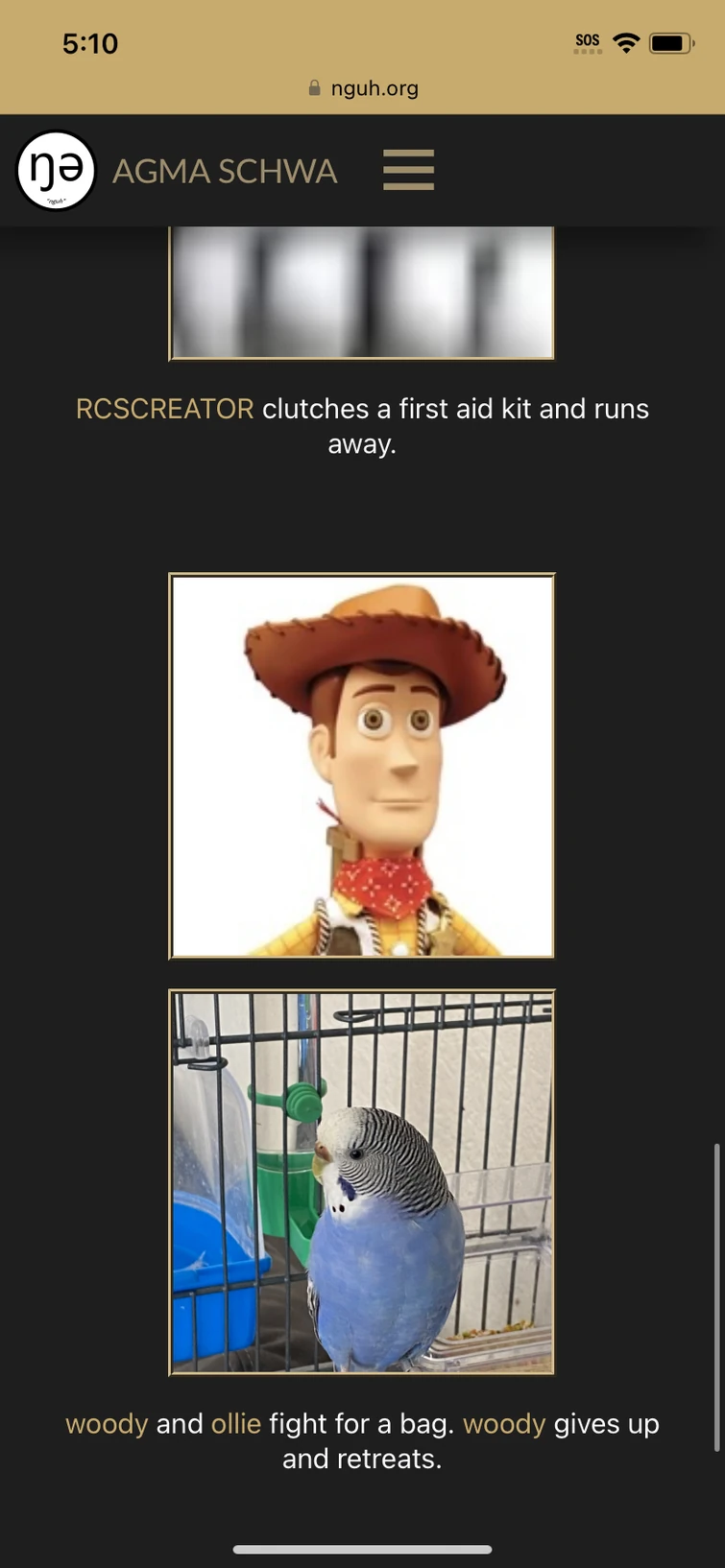 Hunger games sim | Fandom