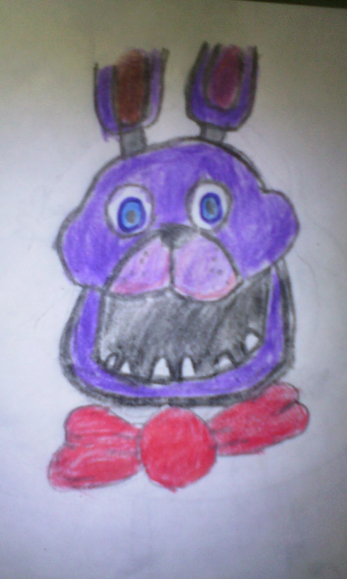 He dibujado a boni | Fandom