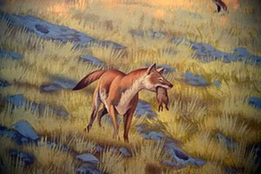 Discuss Everything About Dinopedia | Fandom