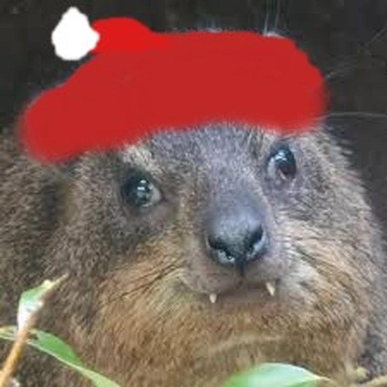 Here's an image of my new PFP but i hid the L brainrot in it | Fandom