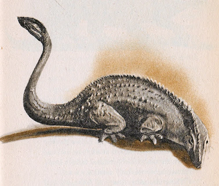 Cursed Dinosaurs Pt2 | Fandom