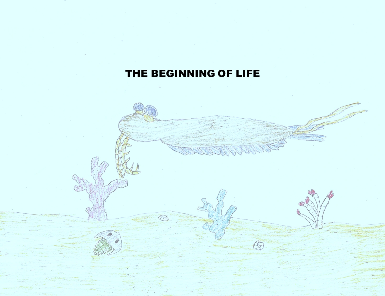 It is here... | Fandom