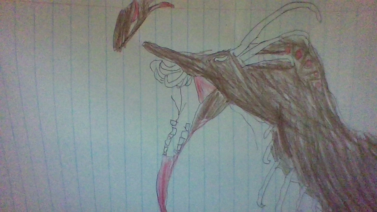 Garra art colored in | Fandom