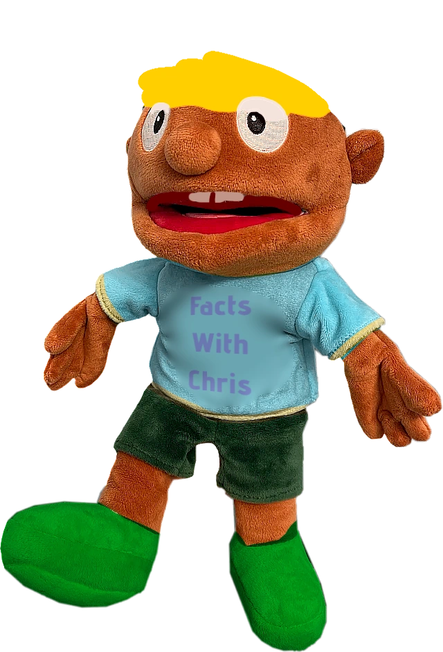 I tried to make a Chris The Cucumber puppet | Fandom