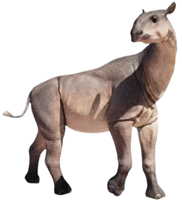 Discuss Everything About Dinopedia | Fandom