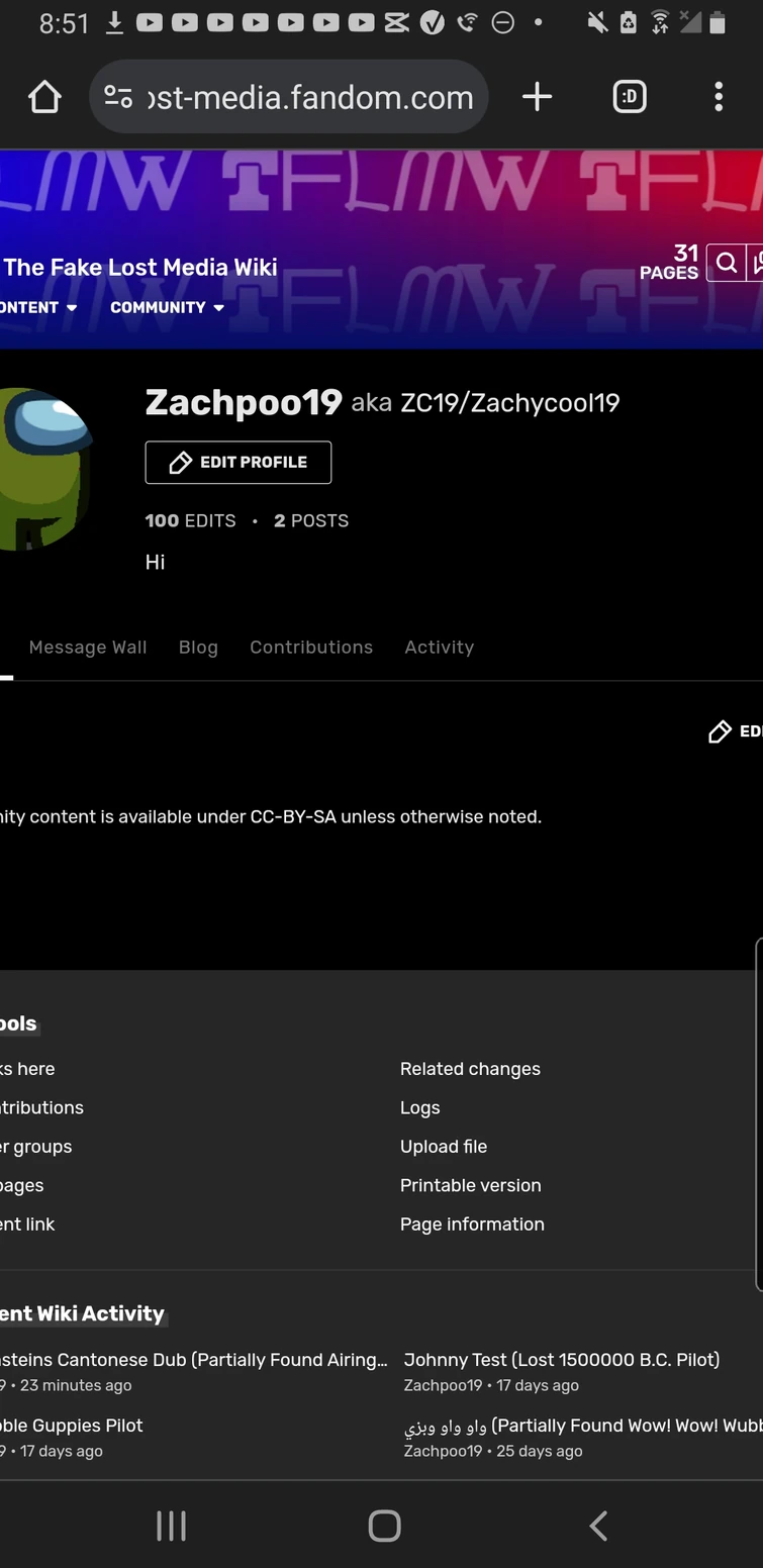 Discuss Everything About The Fake Lost Media Wiki | Fandom