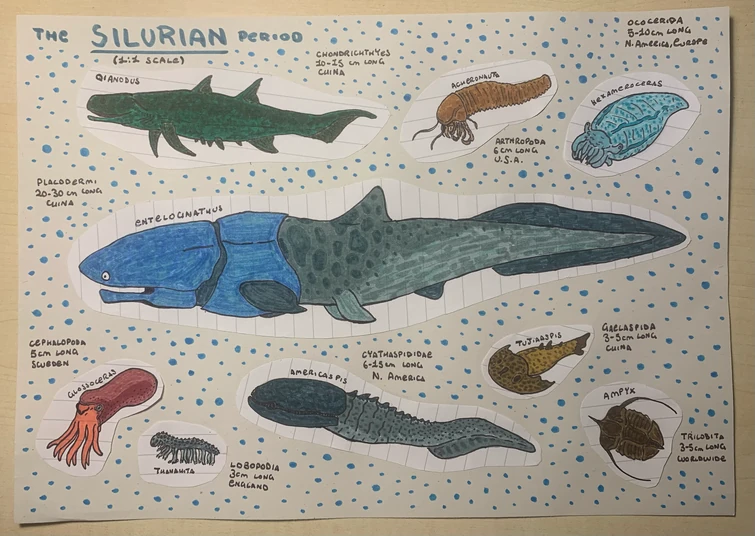 Silurian seas creatures in 1:1 scale | Fandom