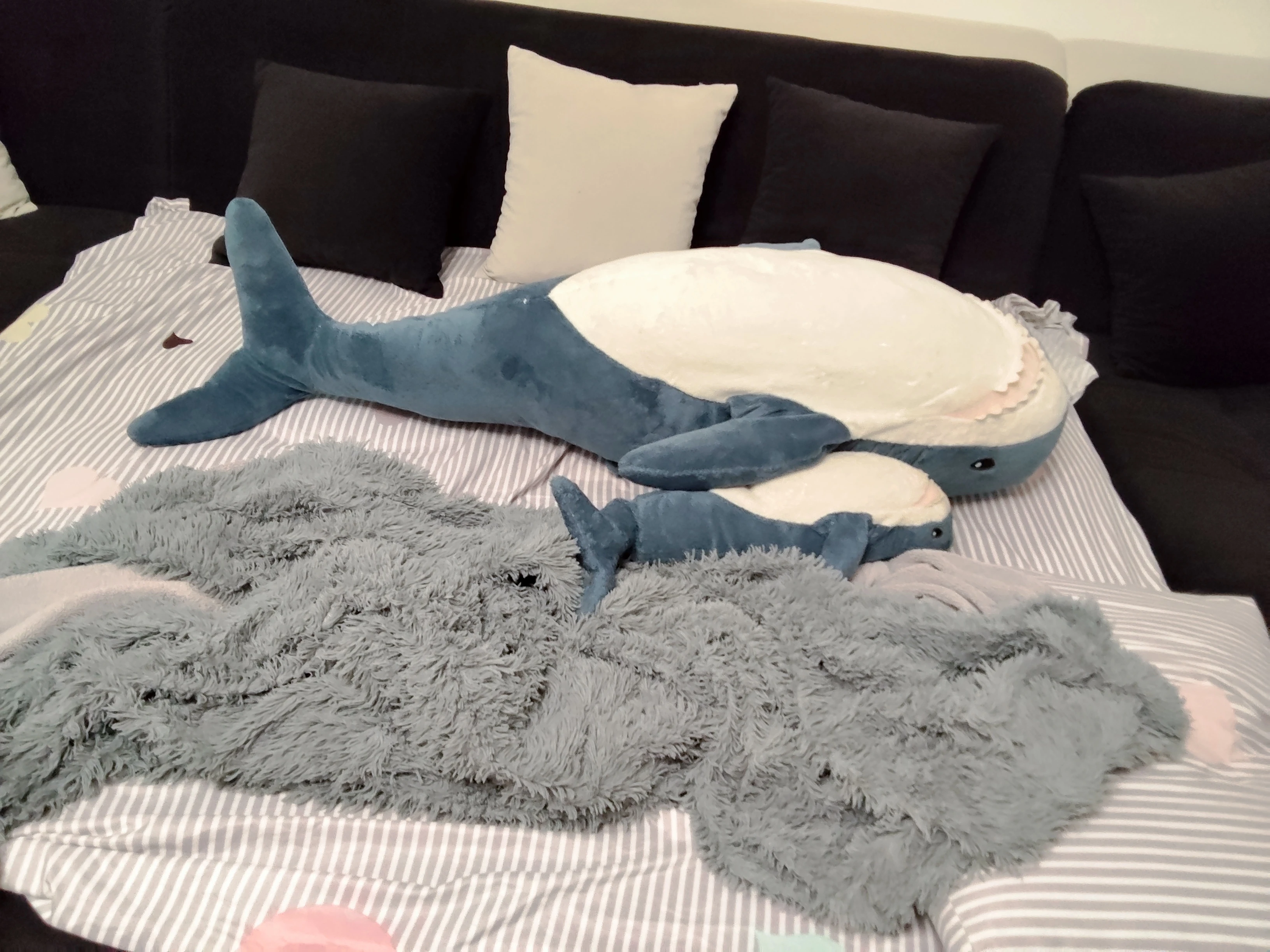 I'm gonna explode | Fandom