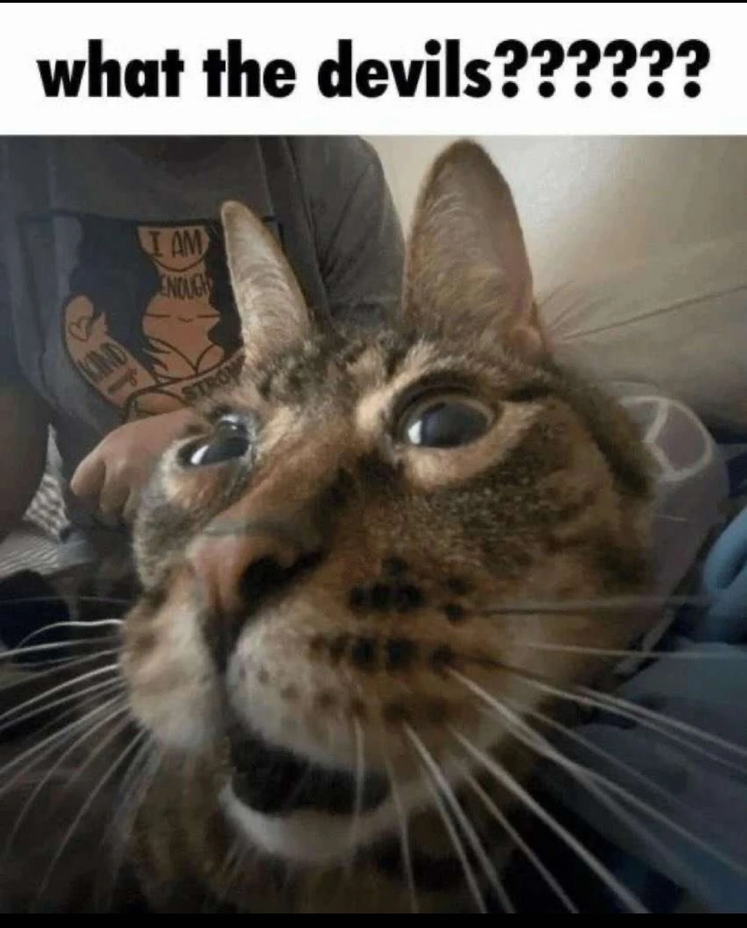 Somebody airdropped me this | Fandom