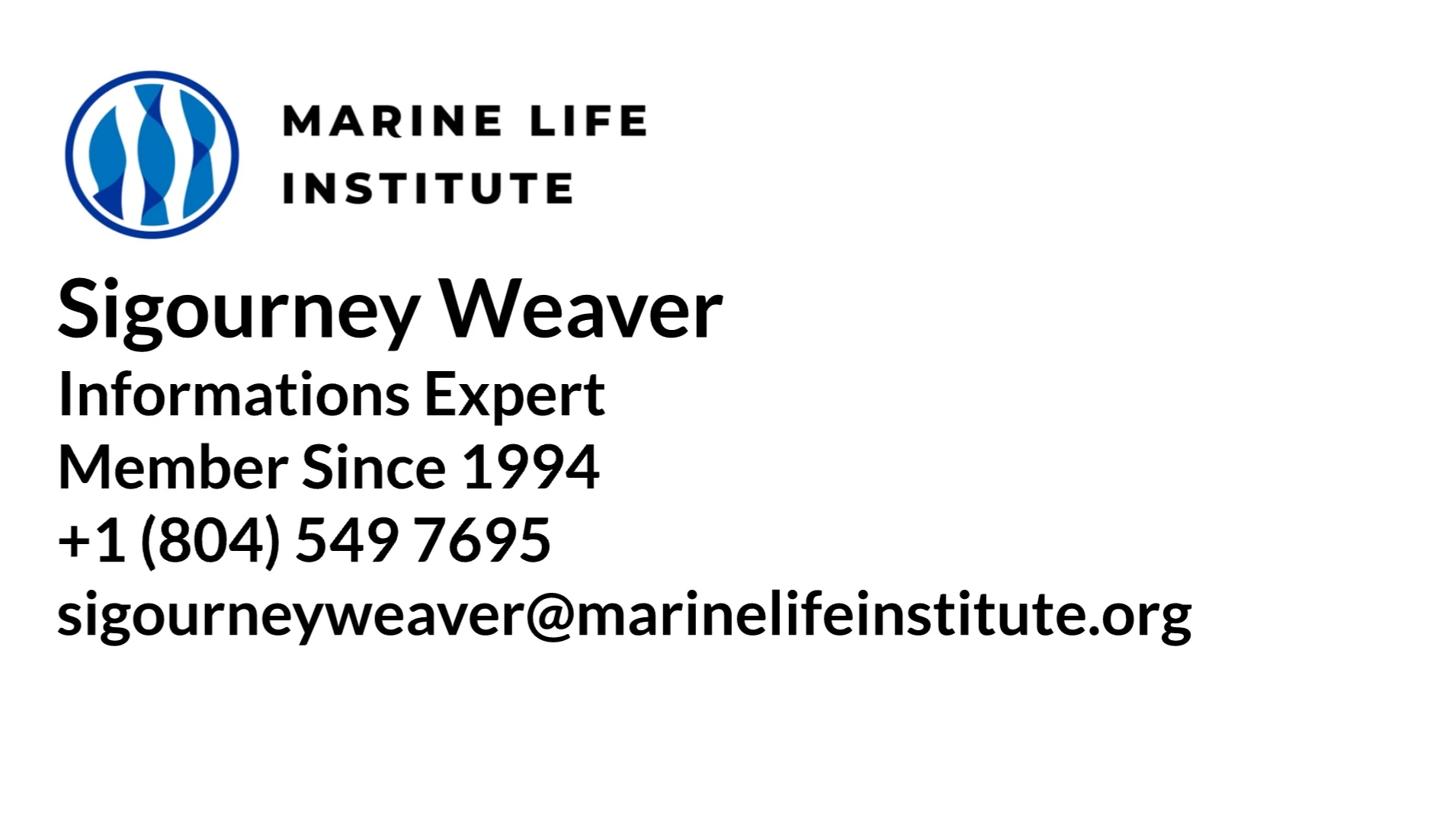 MLI business card? Do you like this design? | Fandom