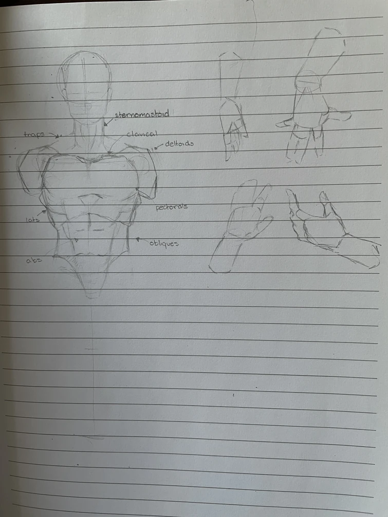 Gulps recent art dump | Fandom