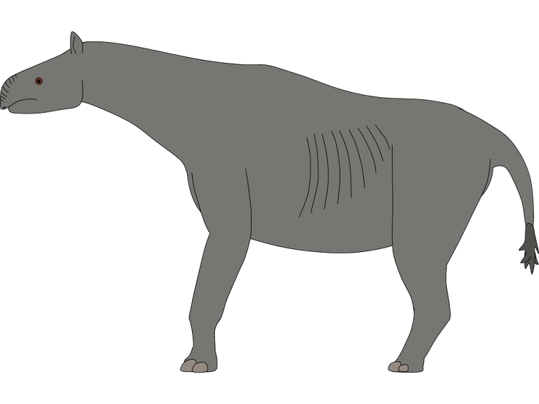 Paraceratherium | Fandom