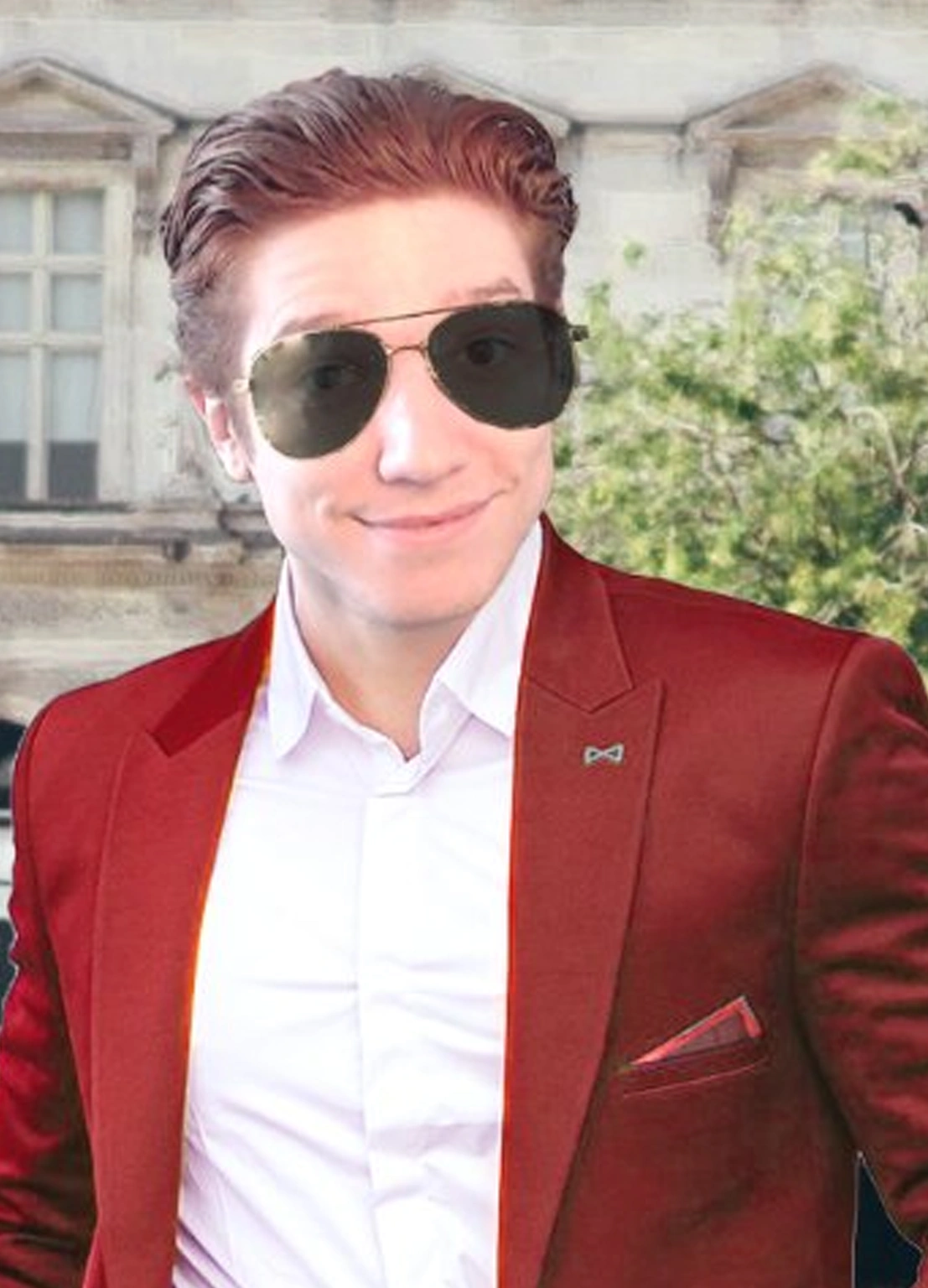 Aspecticor | B1ink01 Wiki | Fandom